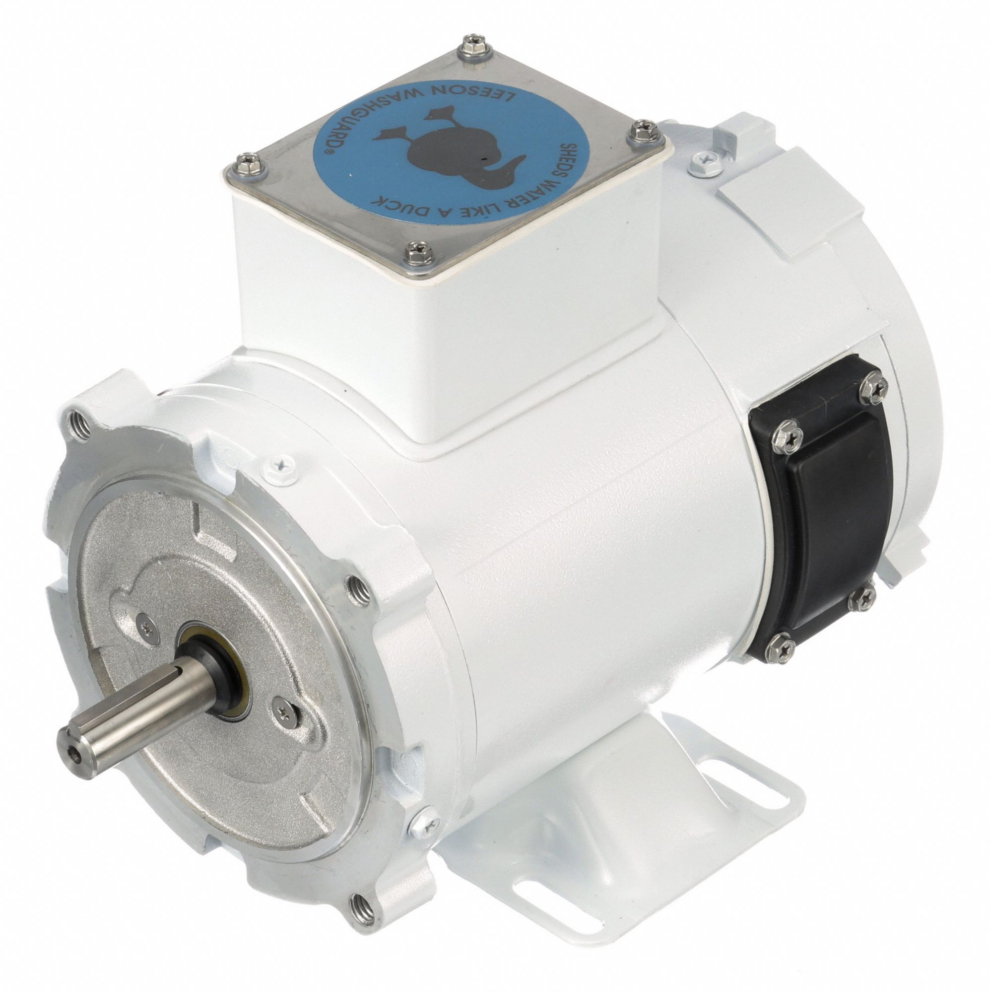 LEESON Washdown Motor: 1/4 HP, 1,750 Nameplate RPM, 56C Frame, Face ...