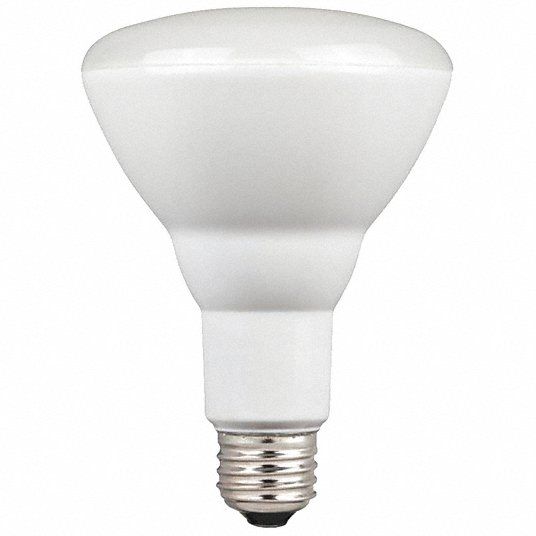 SHAT-R-SHIELD, LED, BR30, Compact LED Bulb - 493V05|06209W - Grainger