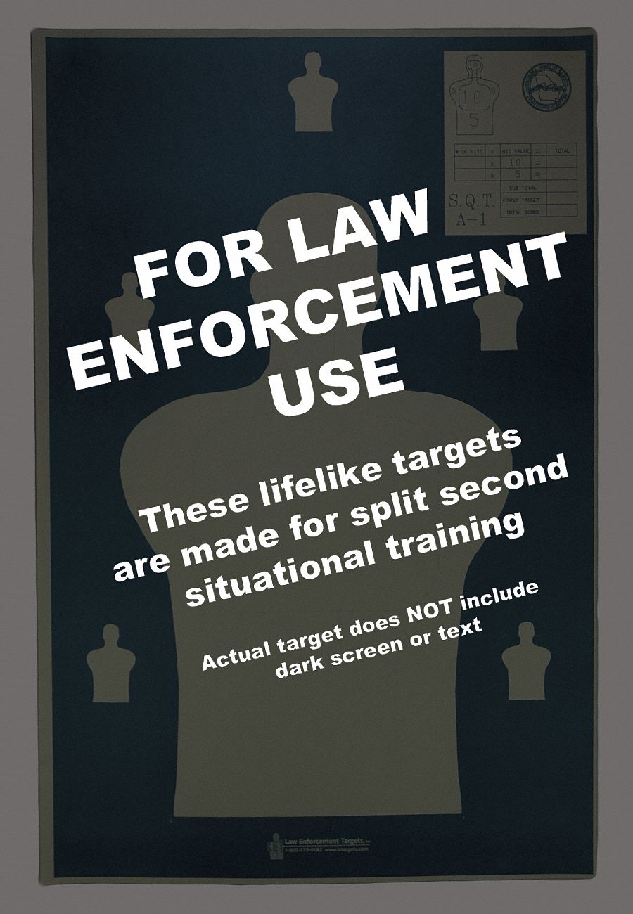 ACTION TARGET, Paper, State Specific Target, Georgia Public Safety ...