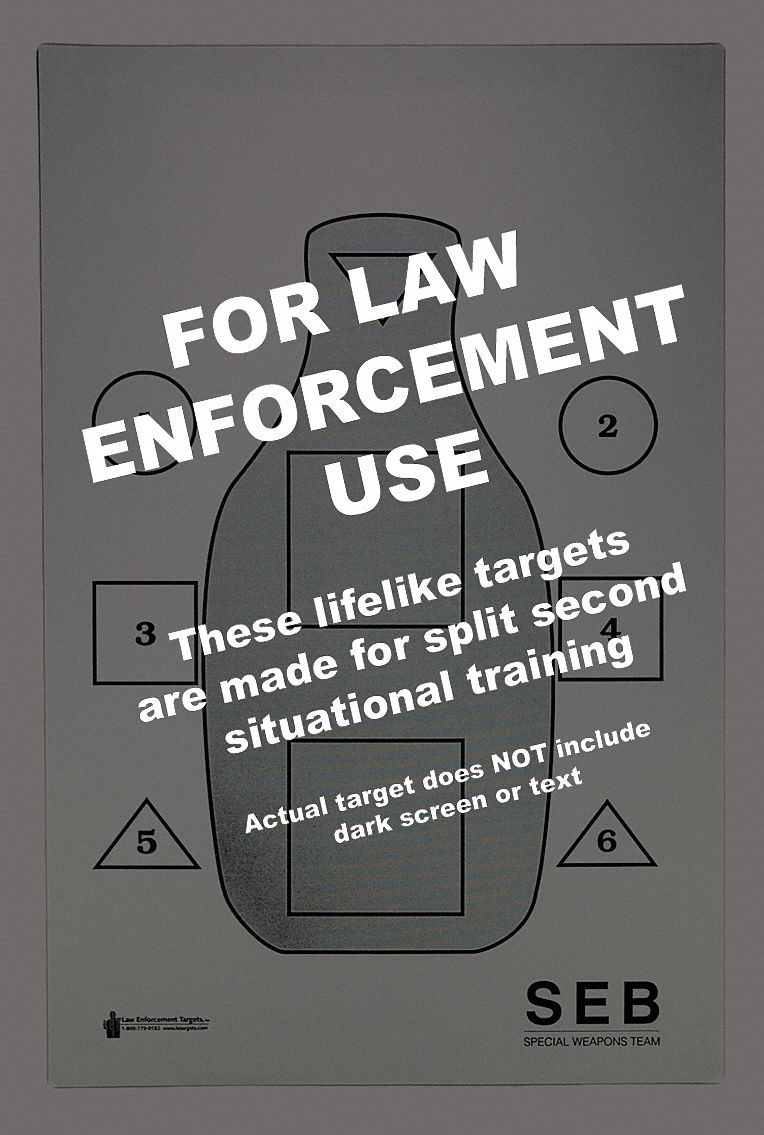 ACTION TARGET, Paper, Federal Agency Target, SWAT Vital Area Target ...