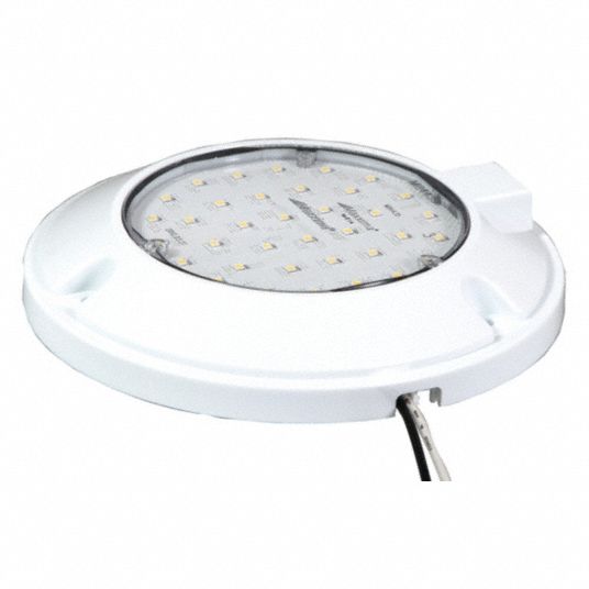 MAXXIMA, Round, 12/24V DC, Dome Light - 49XE37|M84435-A - Grainger