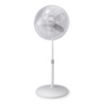 Office Pedestal Fans - Grainger Industrial Supply