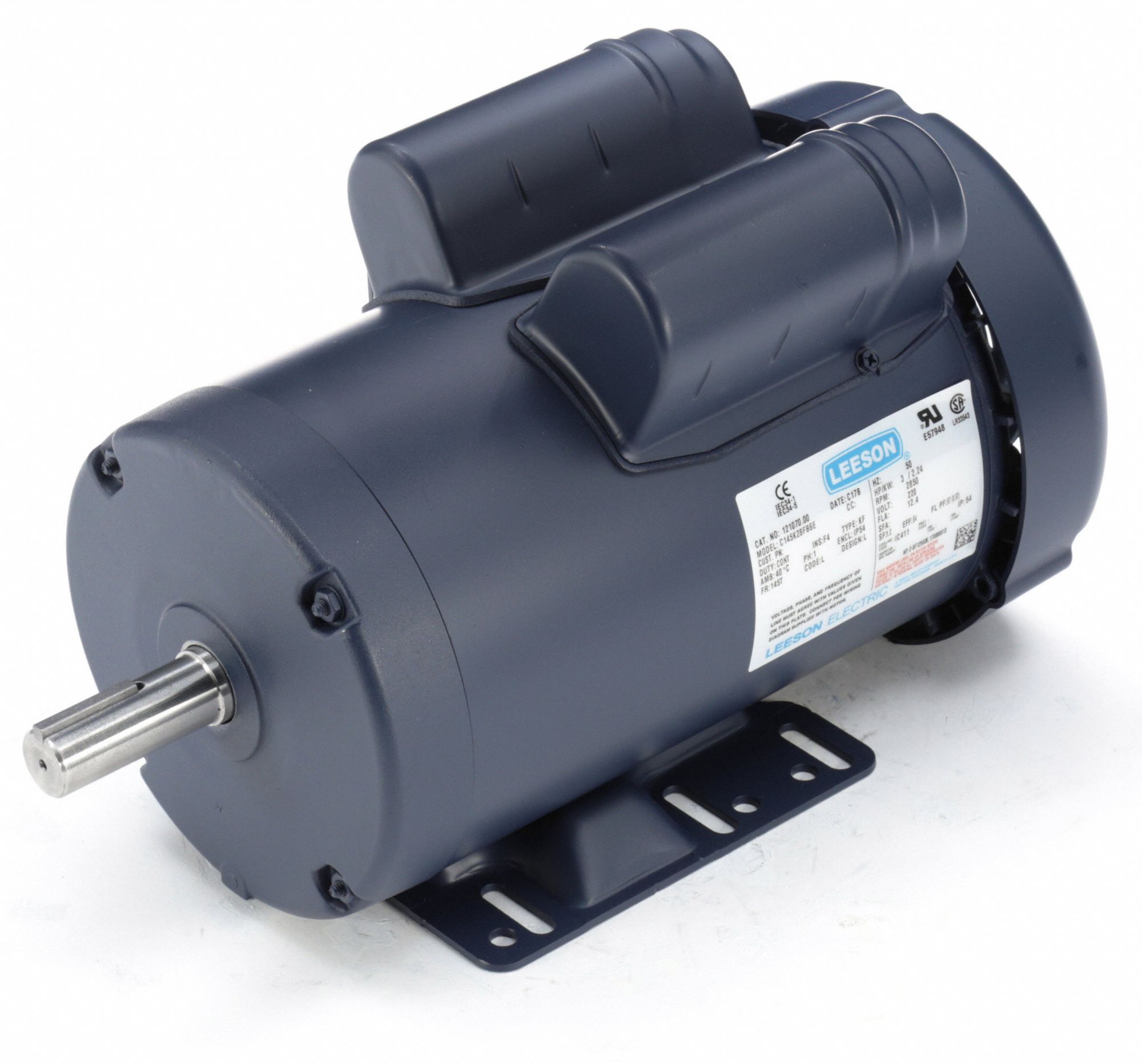 LEESON 50 Hz Motor: Totally Enclosed Fan-Cooled, 3 HP, 2,850 Nameplate ...