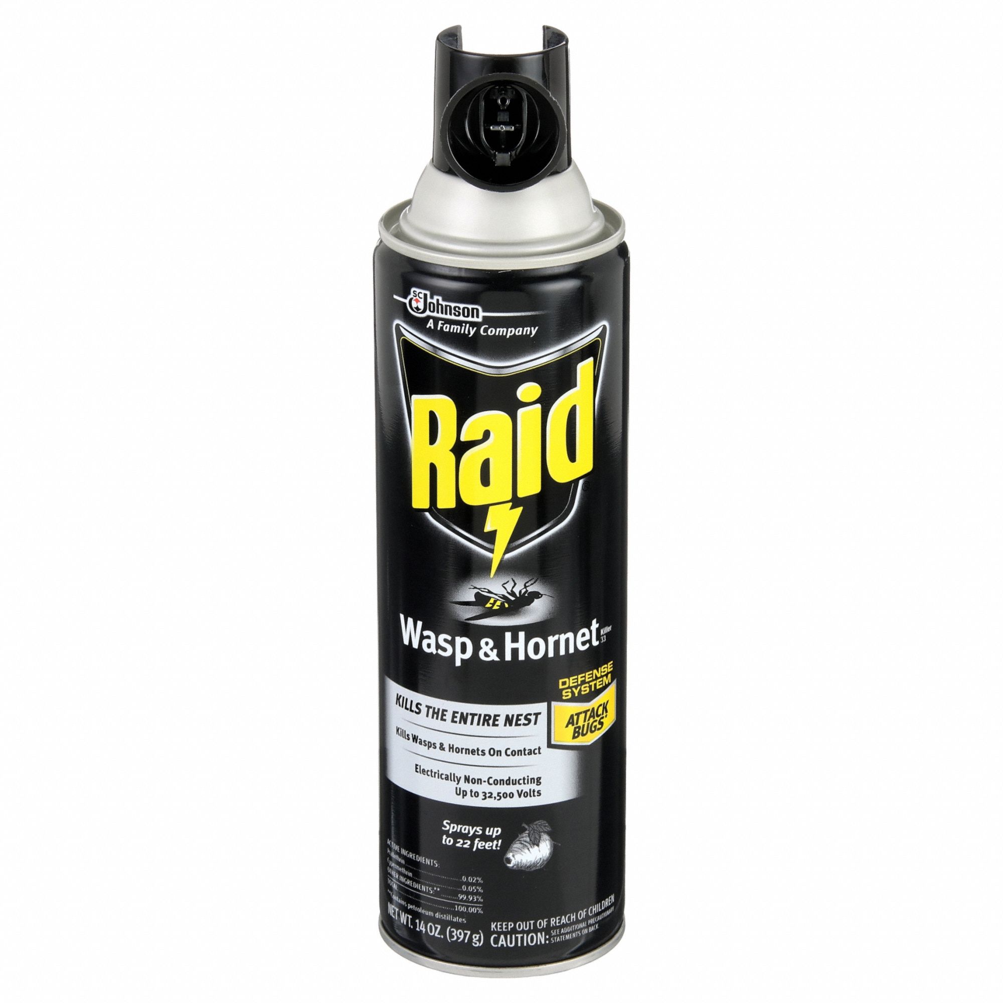 RAID, For Use On Flying and Crawling Insects, Aerosol Spray Can, Wasp ...