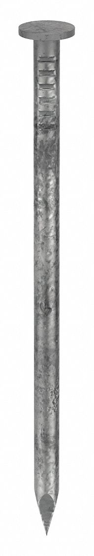 Common Nails, 4 in Lg, Common Nail,4 in,6 ga,PK155 - 4NET4|4NET4 - Grainger