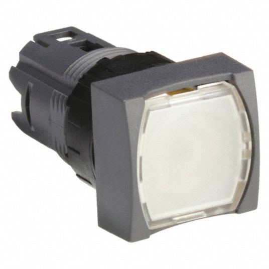 SCHNEIDER ELECTRIC, White, 16 mm Mounting Size, Flush Push Button ...