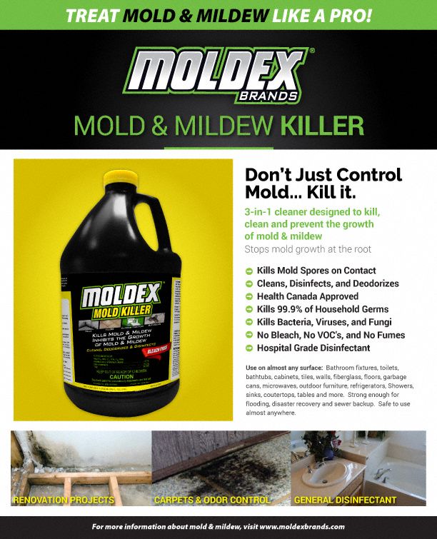 MOLDEX Mold Mildew Remover: Bottle, 1 gal Container Size, Ready to Use ...