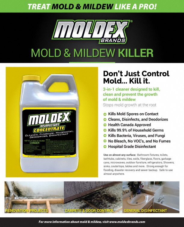 MOLDEX Mold Mildew Remover: Jug, 64 oz Container Size, Concentrated ...