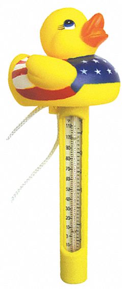Duck Thermometer - Grainger