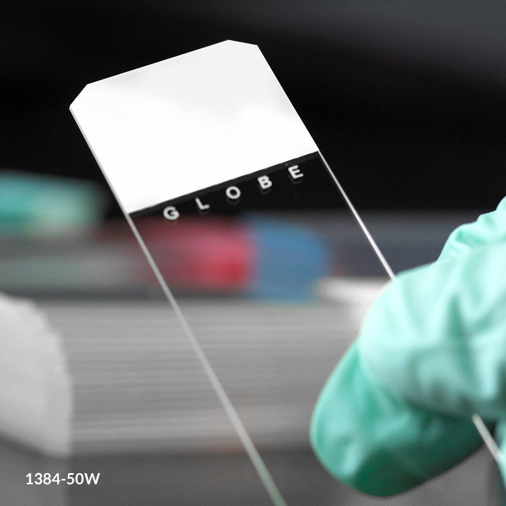 Glass, 75 mm Overall Lg, Microscope Slide - 508Z99|1384-50W - Grainger