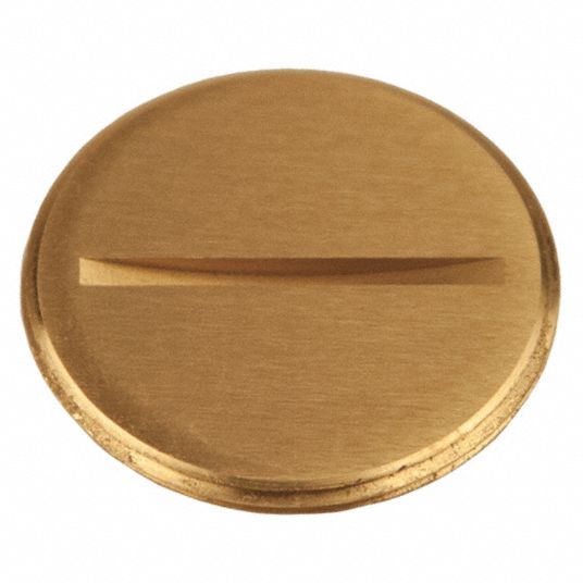 RACO, Round, Brass, Flush Replacement Plug - 52AW84|6226 - Grainger