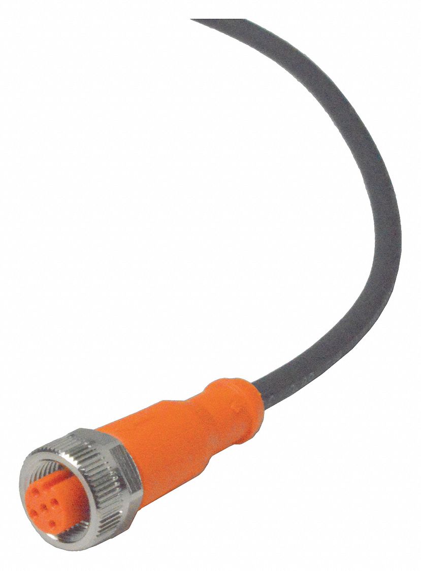 M12 Female Straight X Bare Wire, 5 Pins, Cordset - 52RR35|EVC071 - Grainger