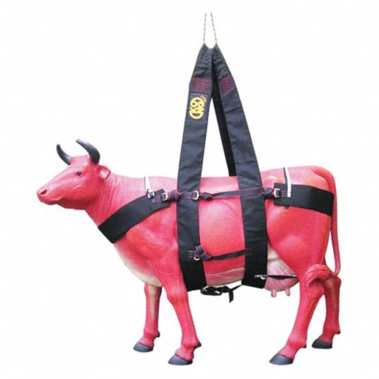 KONG USA, 84 in L x 60 in W, Intended Patient Cattle/Cow/Horse, Lifting ...