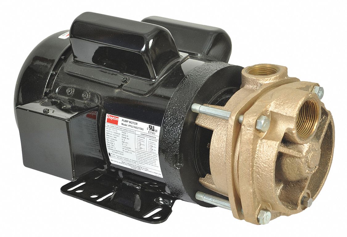 2 hp, 115/208-230V AC, Turbine Pump - 53EC01|53EC01 - Grainger