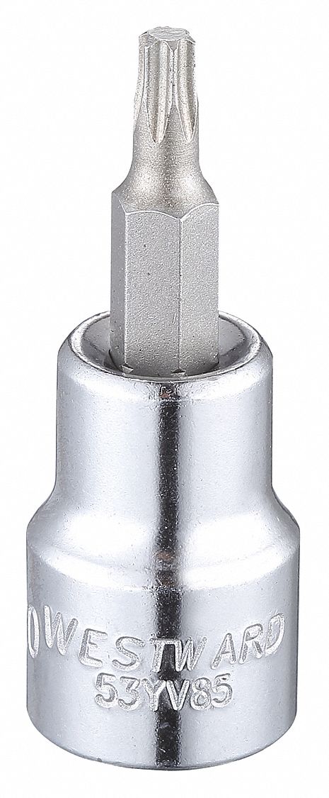 WESTWARD Dado con Punta Torx®, Impulsor 3/8", Tamaño de la Punta T20 ...