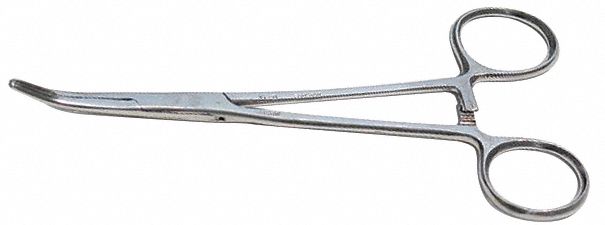 EMI, Stainless Steel, 5 1/2 in Overall Lg, Kelly Forcep - 54DH18|1750 ...