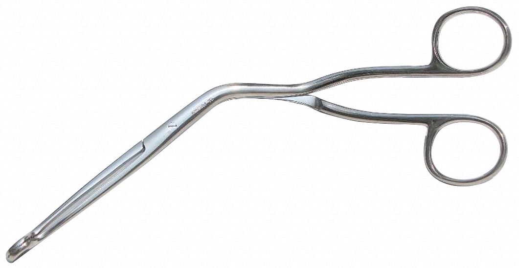 EMI, Stainless Steel, 8 in Overall Lg, Magill Catheter Forcep - 54DH31 ...