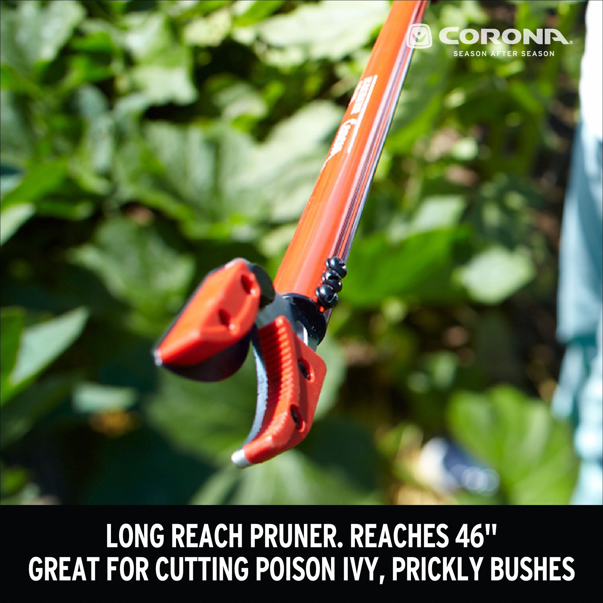 CORONA Tree Pruner: 2 1/2 in Blade Lg, Steel, Aluminum, 1/2 in, 4 ft ...