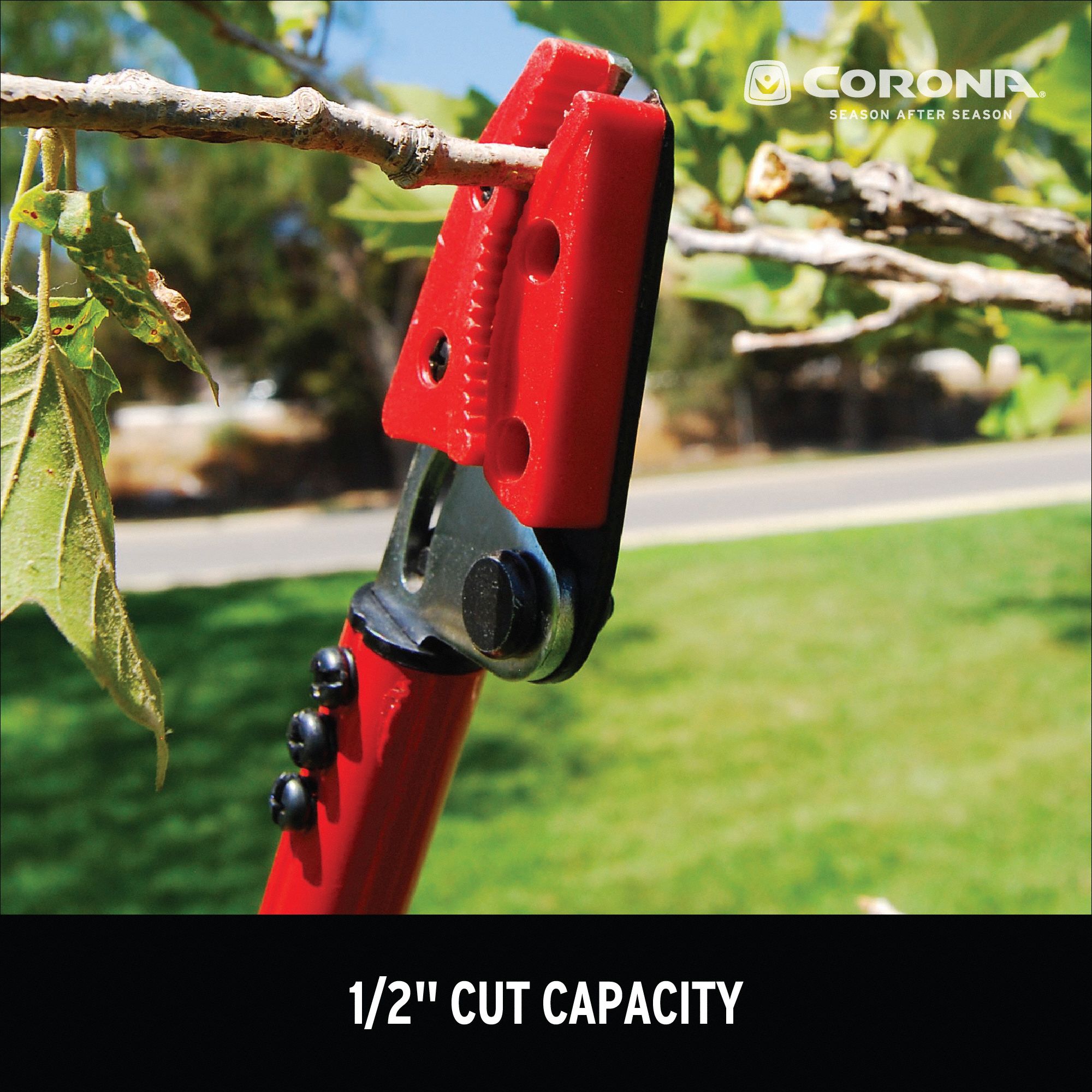 CORONA Tree Pruner: 2 1/2 in Blade Lg, Steel, Aluminum, 1/2 in, 4 ft ...