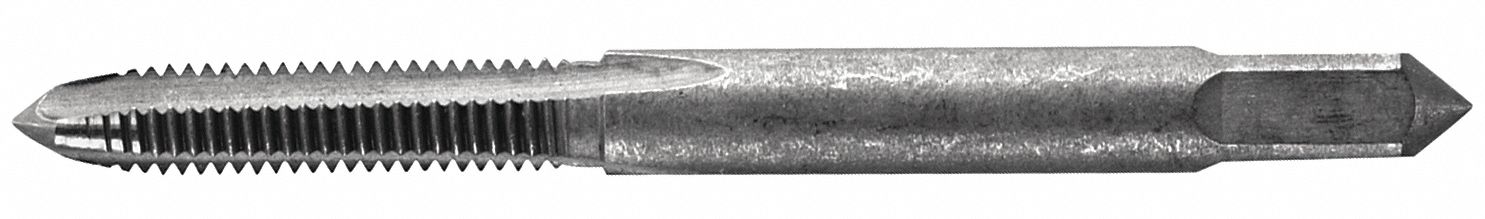 BOSCH, 11/16 in Thread Lg, Taper, Tap - 55EP51|BPT4M70 - Grainger