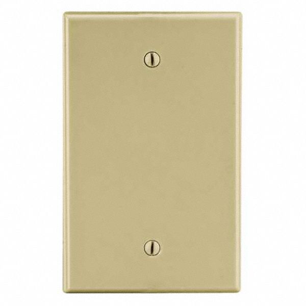 Blank, Plastic, Blank Box Mount Wall Plate - 55KT50|PJ13I - Grainger