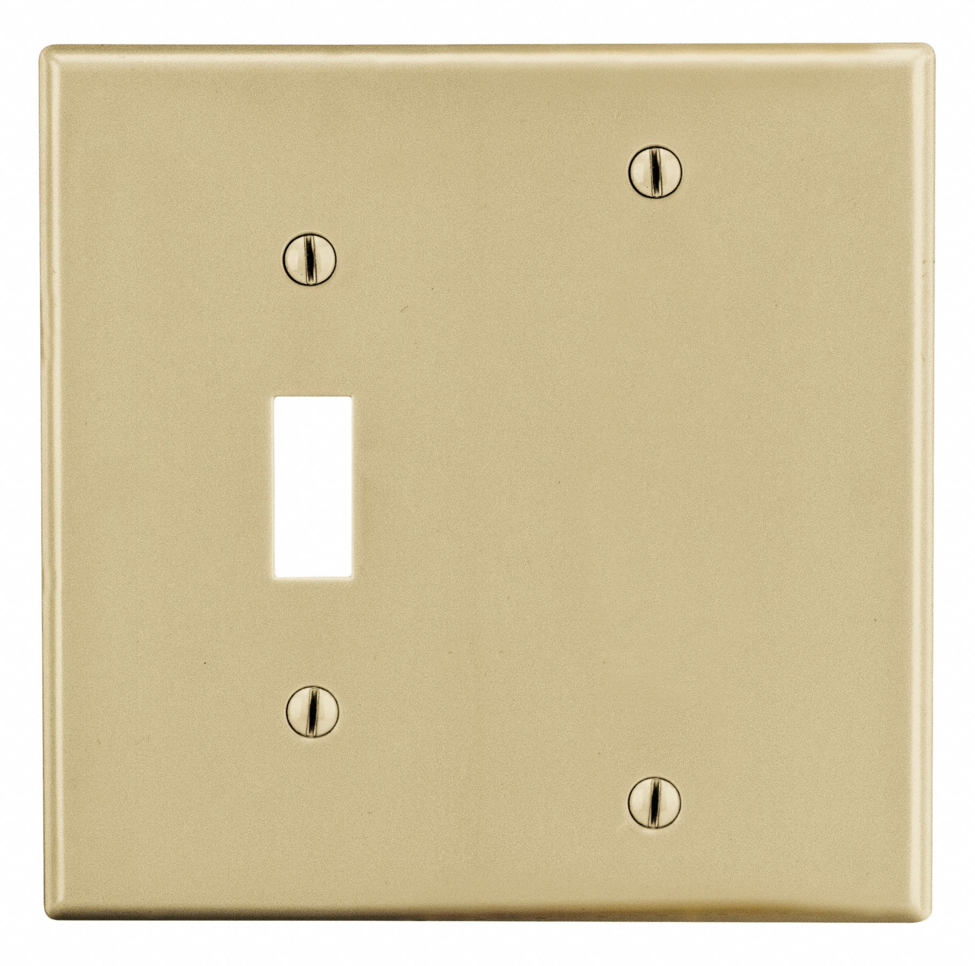 Toggle, Plastic, Toggle Switch/Blank Wall Plate - 55KT69|P113I - Grainger