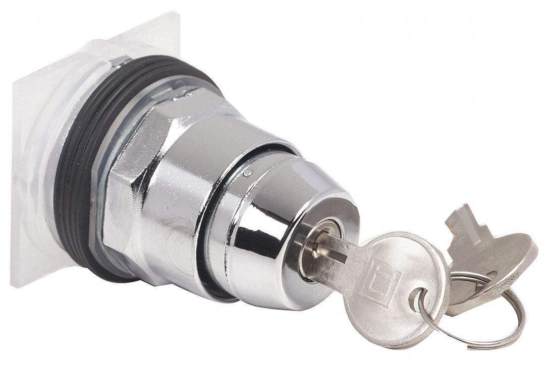 SCHNEIDER ELECTRIC, 2 Position, 30 mm Panel Mounting Size, Keyed ...