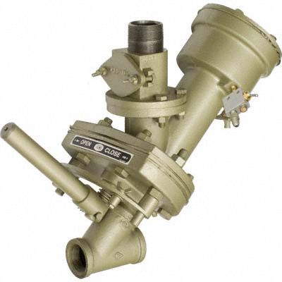 Sentinel Metering Valve,50 Mesh - Grainger