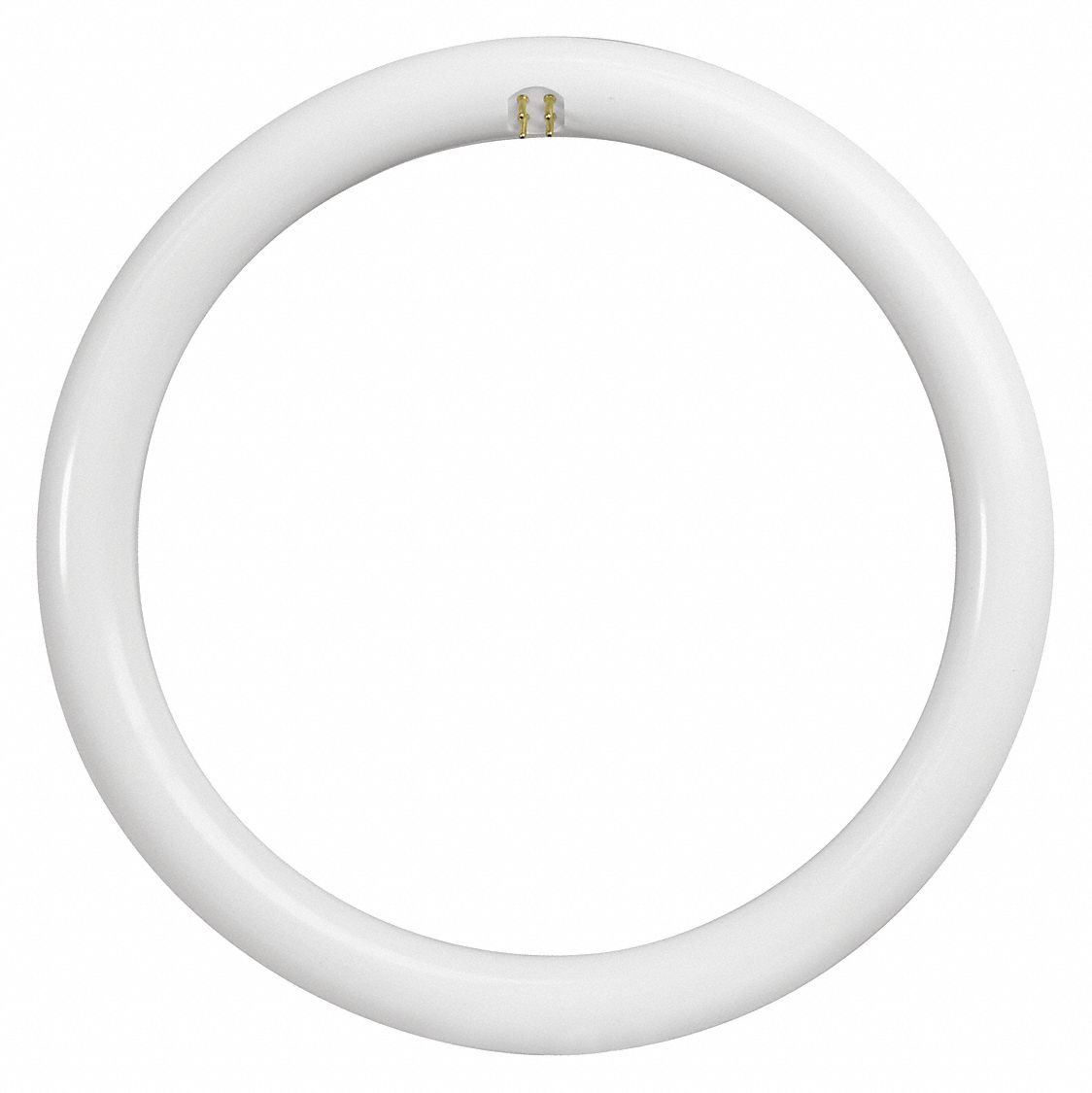 FEIT ELECTRIC, LED, T9, Circular LED Bulb - 56JH57|FC12/840/LED - Grainger