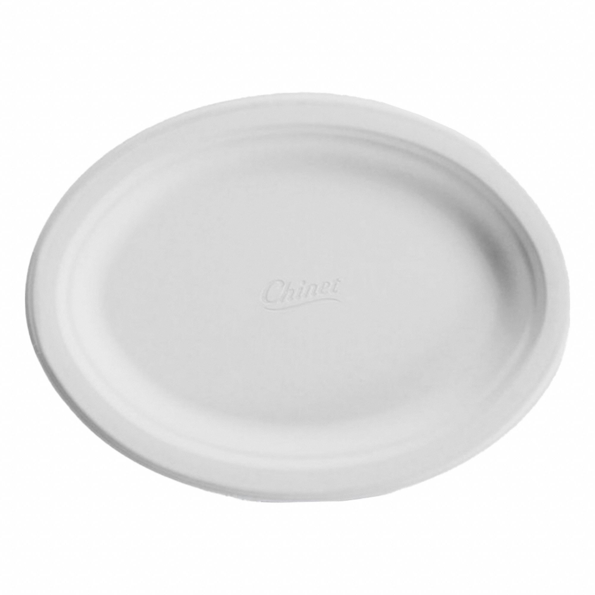 White 7 1 2 In X 10 In Disposable Plate Size Disposable Plate