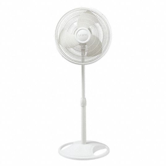 Oscillating Stand Fan,16",White - Grainger