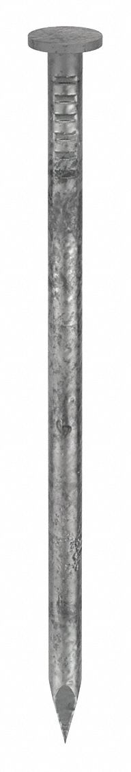 Common Nail, Steel, Galvanized, 12d, 9 Gauge, 3 1/4 in Length, Flat, 5/ ...