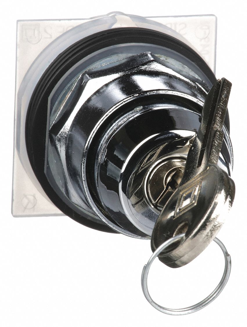 SCHNEIDER ELECTRIC, 2 Position, 30 mm Panel Mounting Size, Keyed ...