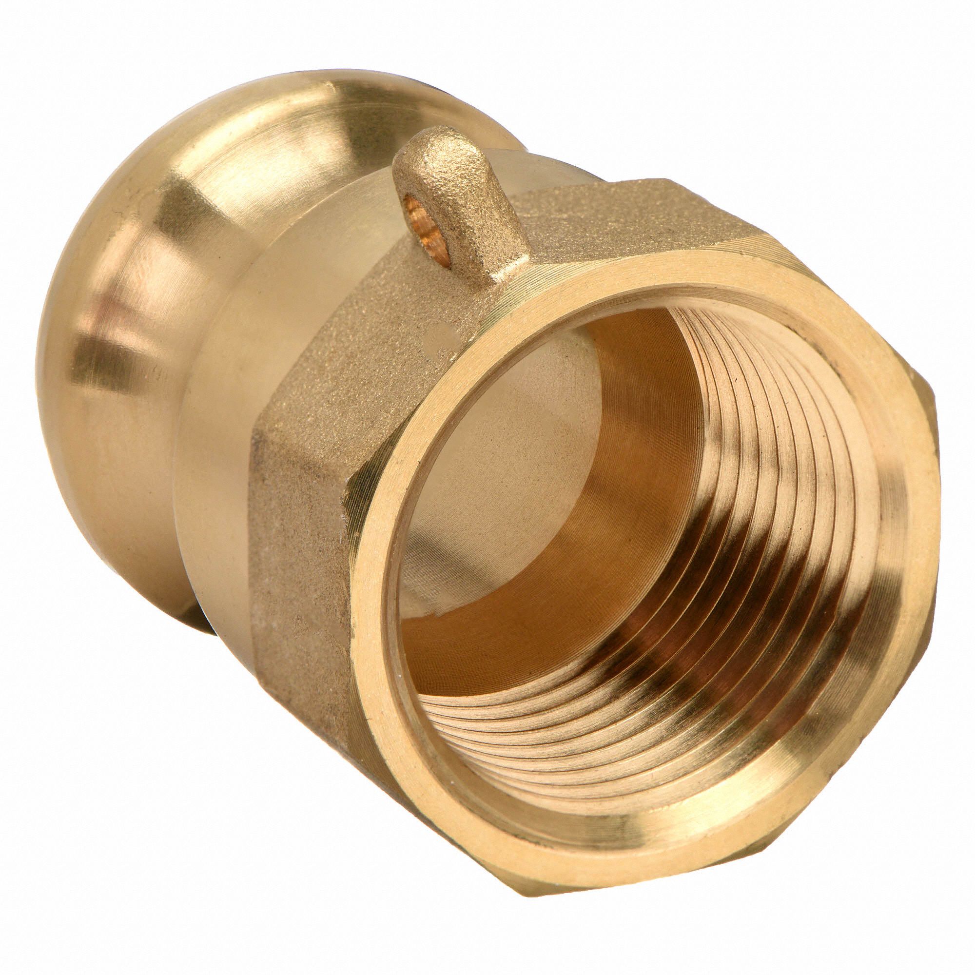 DIXON VALVE & COUPLING Cam and Groove Adapter: 1 in Coupling Size, 1 in ...