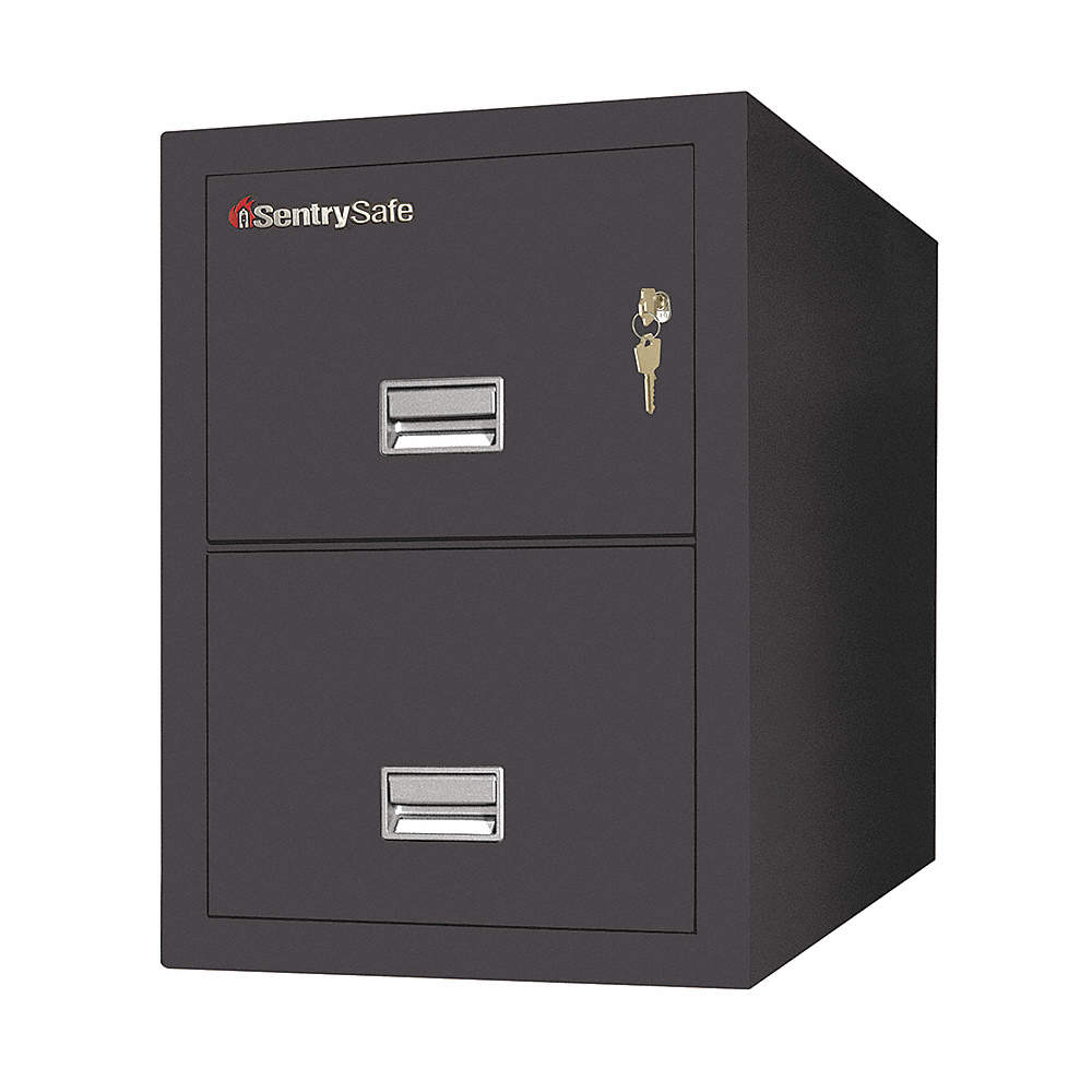 Sentrysafe 2 Drawer Fire Safe File Cabinet | Cabinets Matttroy Sentrysafe 2 Drawer Fire Safe File Cabinet | Cabinets Matttroy