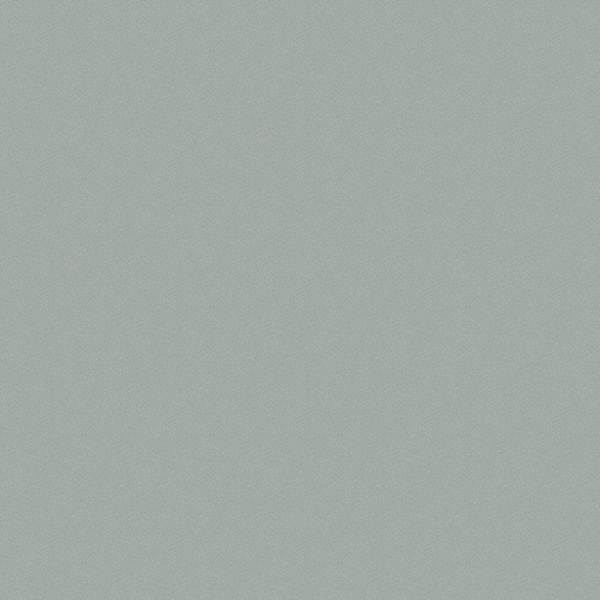 RUST-OLEUM Rust Preventative Spray Paint: Light Machine Gray, 15 oz Net ...