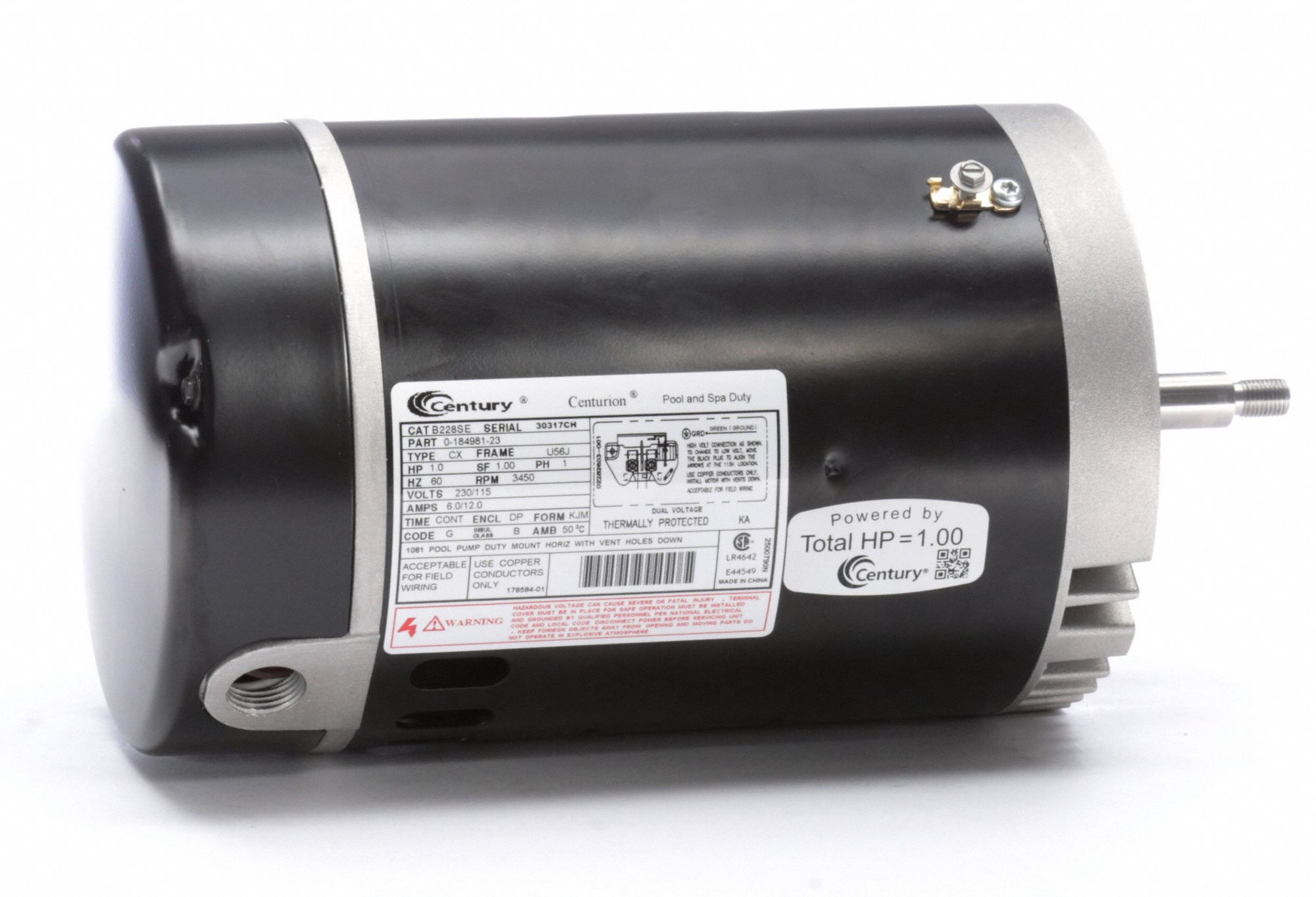 CENTURY Pool and Spa Pump Motor: Face Mounting, 1 HP, 1 Motor Service ...