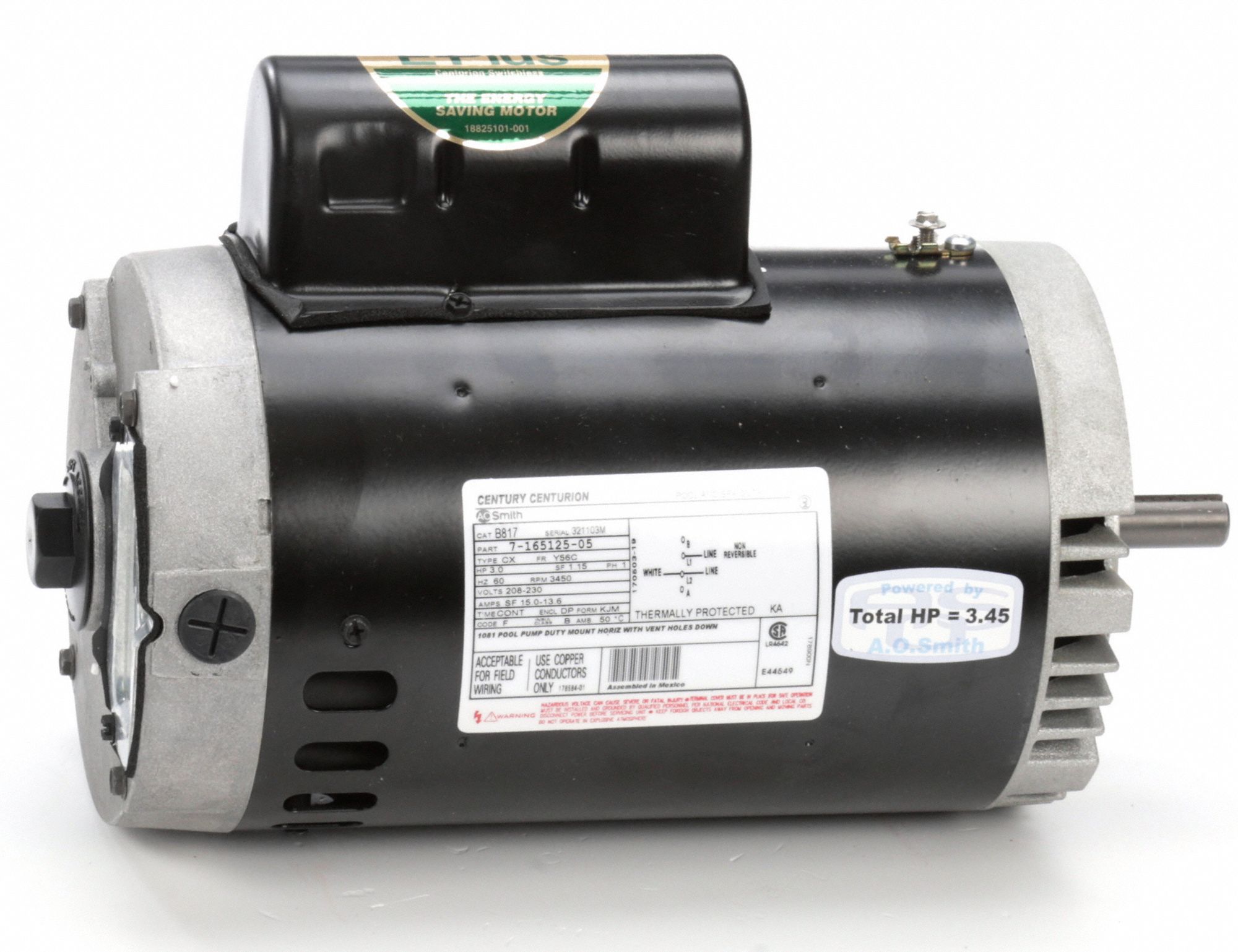 CENTURY Pool and Spa Pump Motor: Face Mounting, 3 HP, 1.15 Motor ...