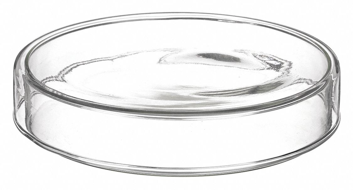LAB SAFETY SUPPLY Placa Petri,Capacidad 282mL,PQ5 - Platos y Platos ...