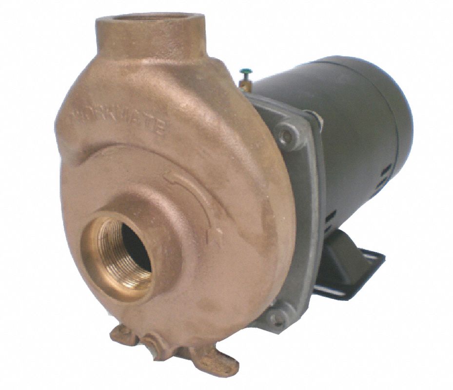 DAYTON Bomba para Piscina/Spa,115/230V,1-1/2 HP - Bombas para Alberca - 5PXD5 | 5PXD5 - Grainger ...