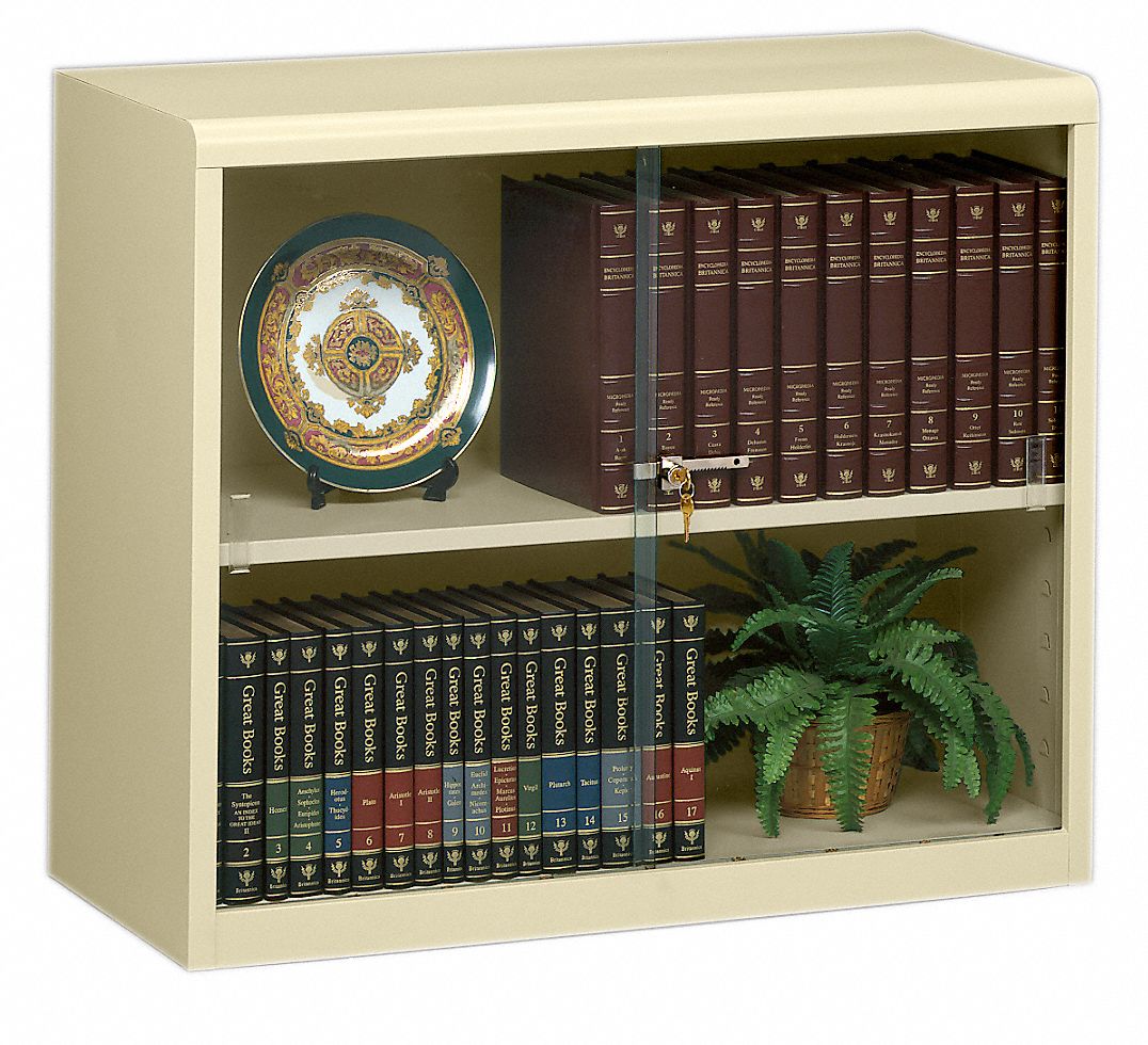 TENNSCO 36 in x 15 in x 30 in Stationary Bookcase with 2 Shelves, Champ ...