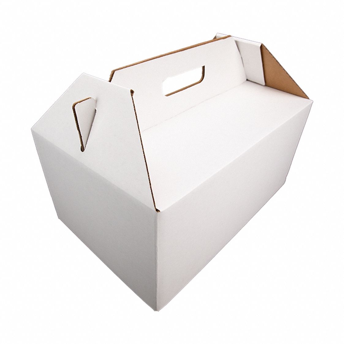 9 in Ht, 18 in Wd, Disposable Carry-Out Food Container - 827CE1|2763 ...