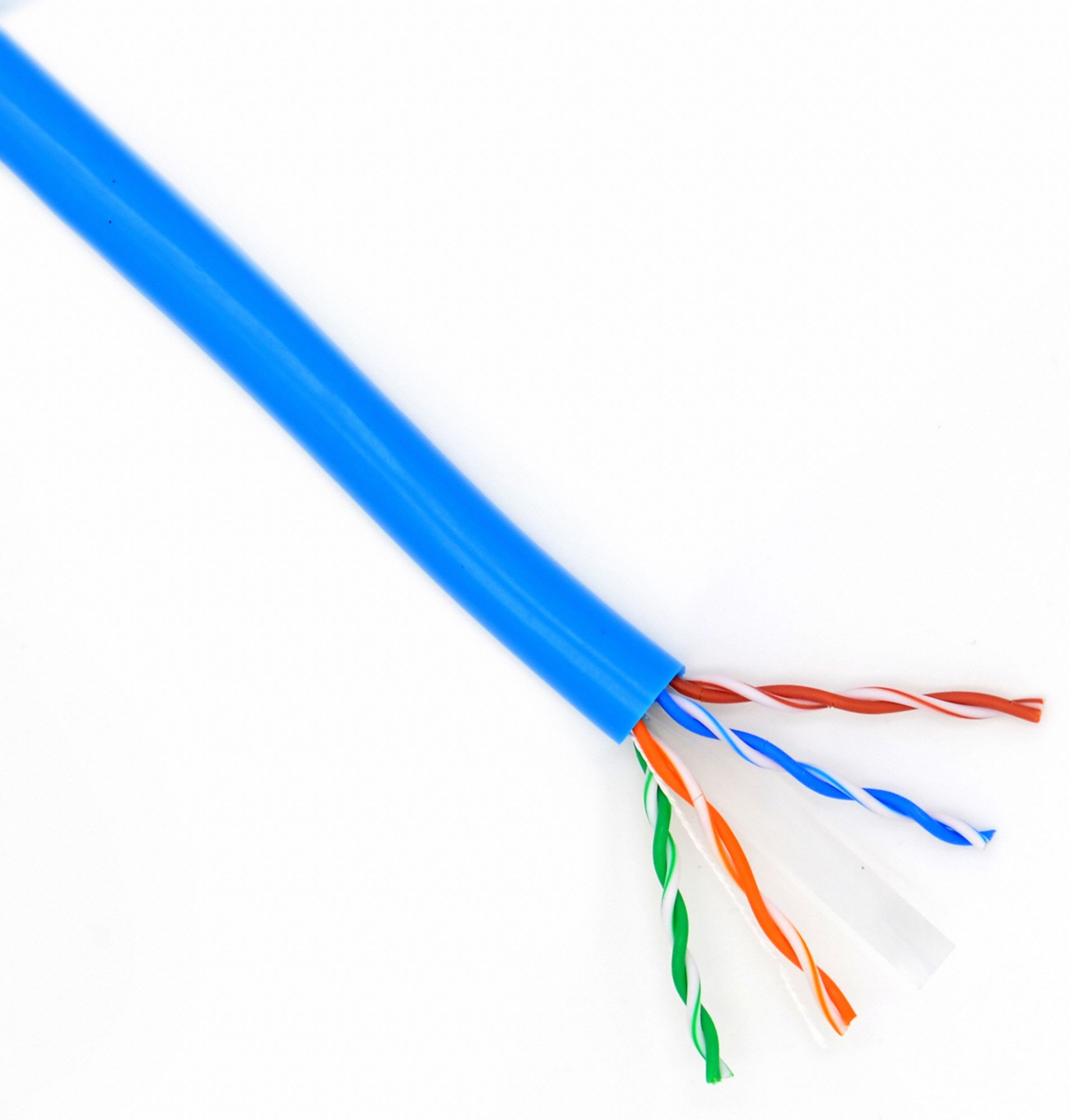 TRIPLETT Cable para Datos - 61KX01 | CAT6AU-1000BL - Grainger México
