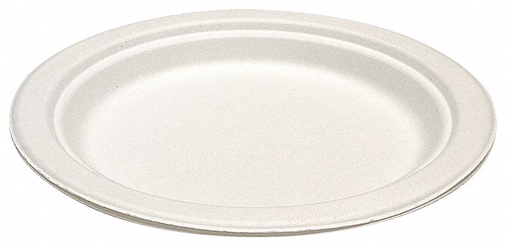 Salad Plate, Paper, 8 3/4 in, Round, White, PK 500 - Grainger