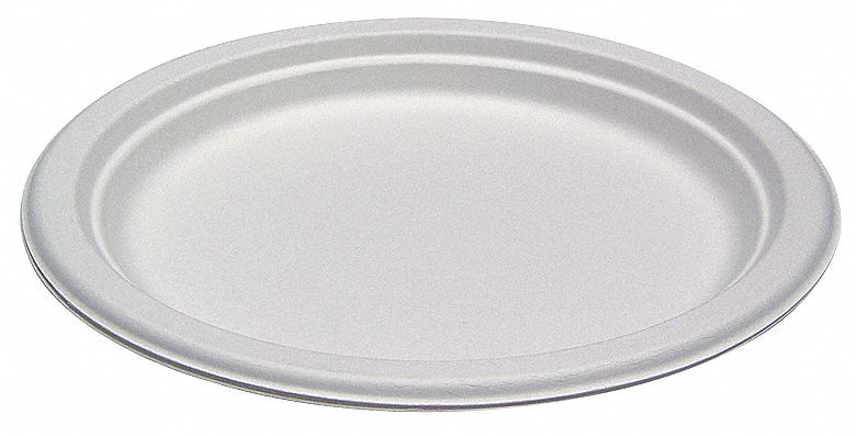 PACTIV, White, Heavy-Wt, Disposable Plate - 6CHE9|MF500100000 - Grainger
