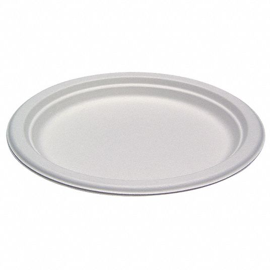 PACTIV, White, Heavy-Wt, Disposable Plate - 6CHE9|MF500100000 - Grainger