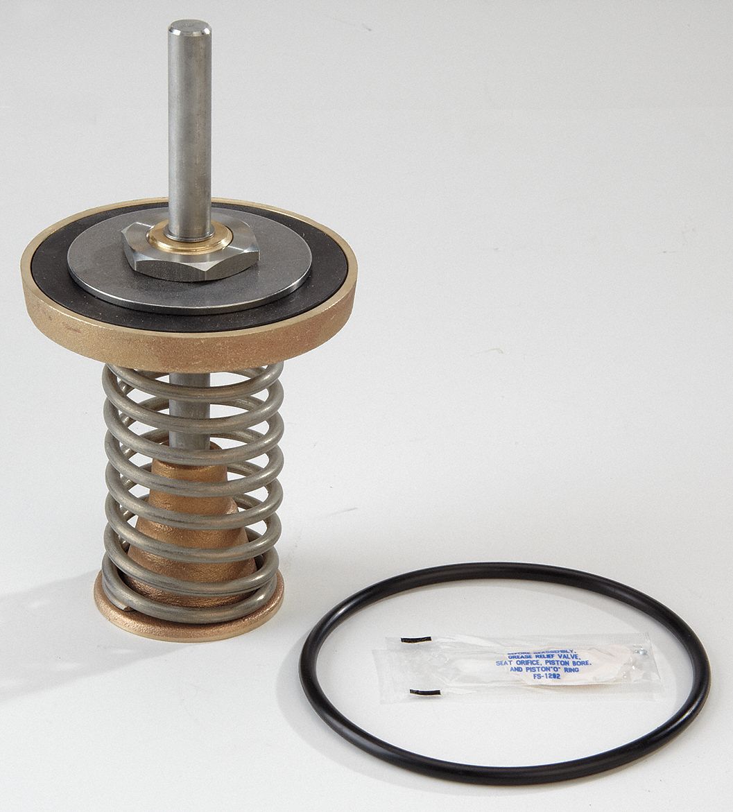 WATTS First Check Valve Repair Kit, For Use With Watts Series 909, 2-1/ ...