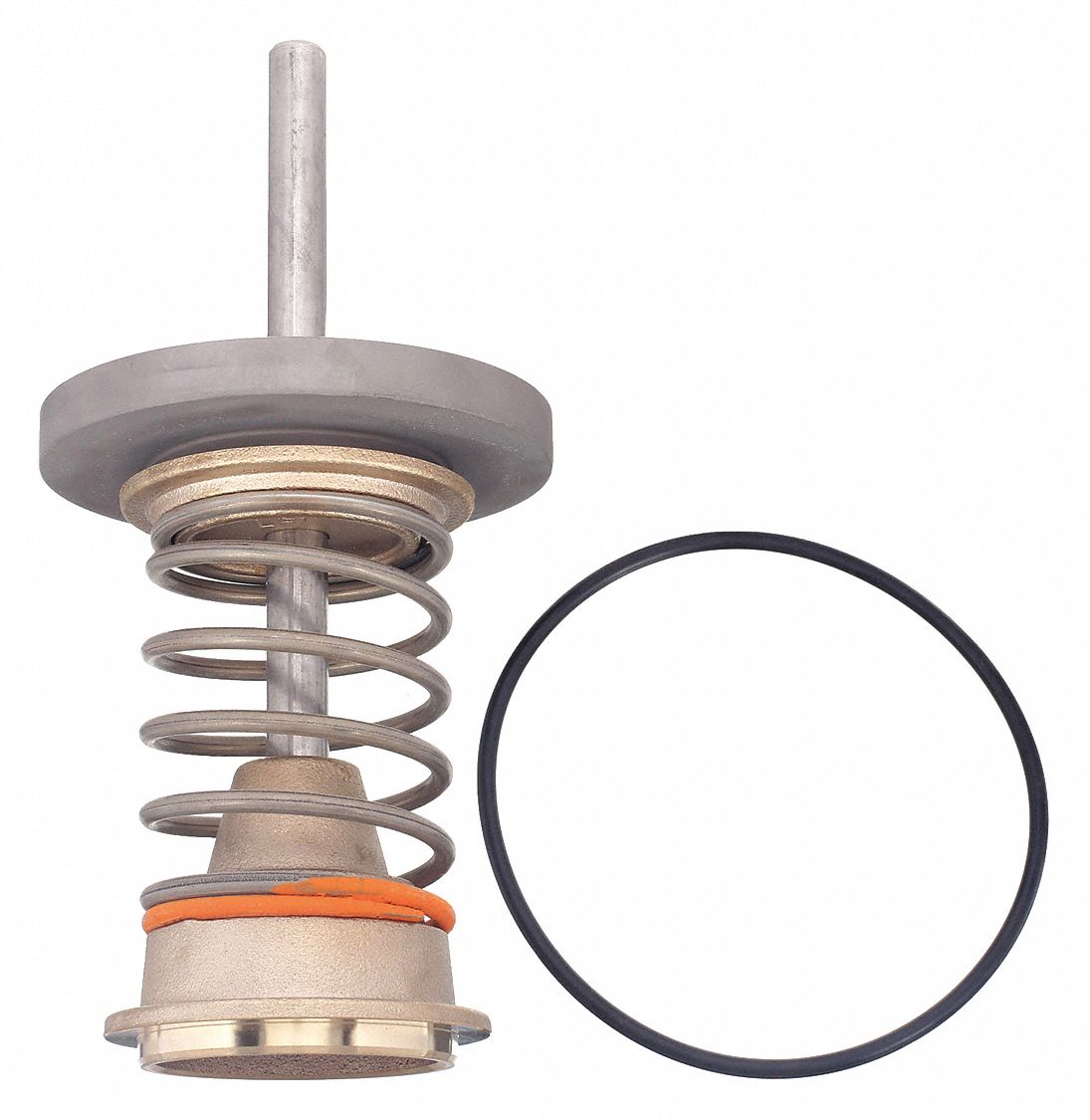 WATTS, First Check Valve Repair Kit, 793PG4/793PG6, First Check Valve ...