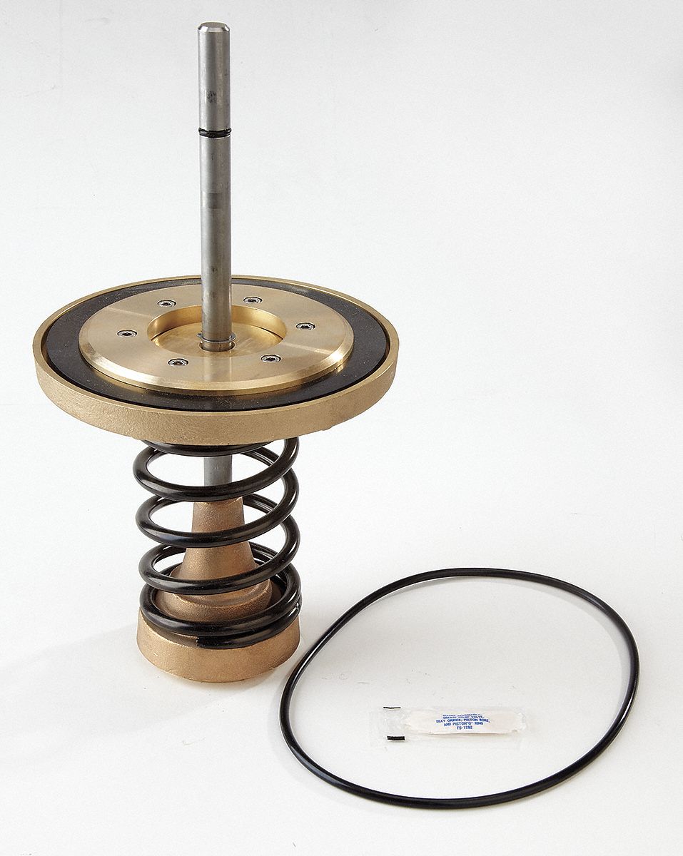 WATTS, For Use With Watts Series 909 (6 in), 909 6 1st Check Kit, First ...