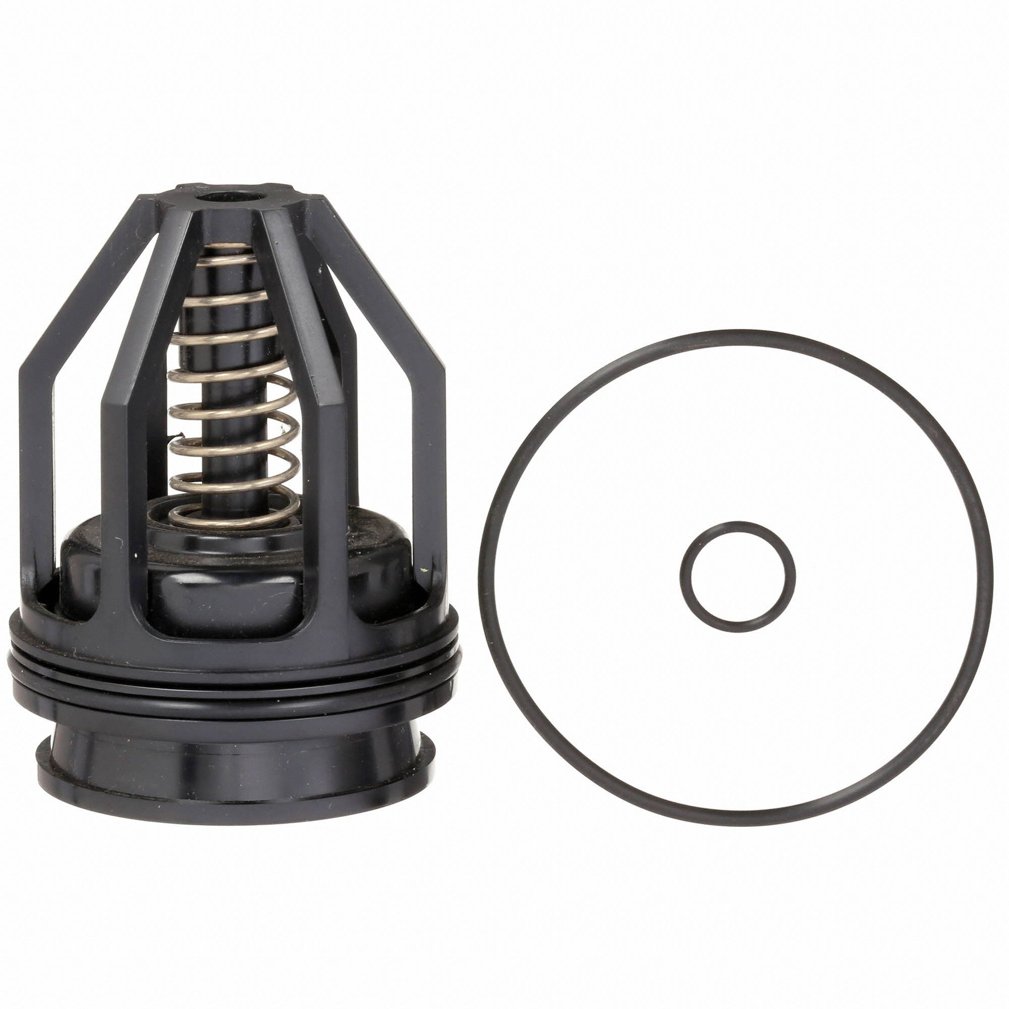 WATTS Second Check Valve Repair Kit: For Use With Watts Series 009 (M2 ...